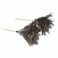 Ostrich Chick Feather Duster 14'' Overall - BradyPLUS